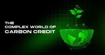 The Complex World Of Carbon Credit Standards And Regulations: A ...